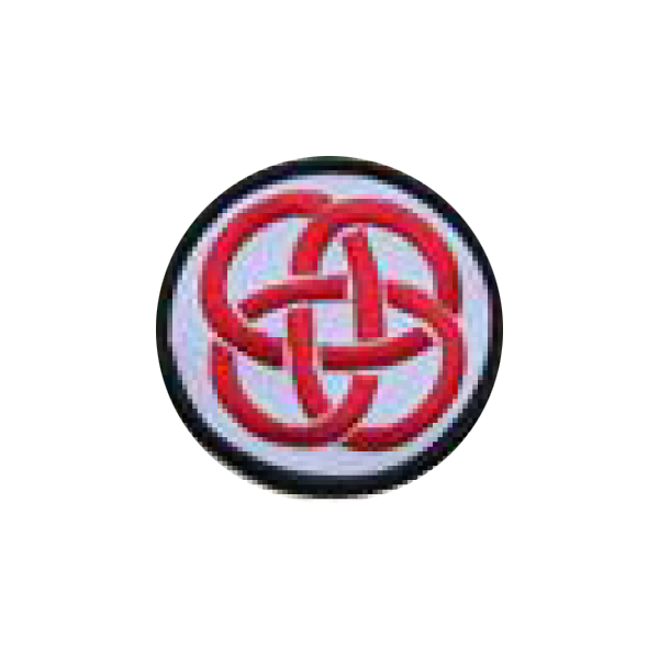 FireFly Level Badges - SpiralScouts – Moonstone's Gifts